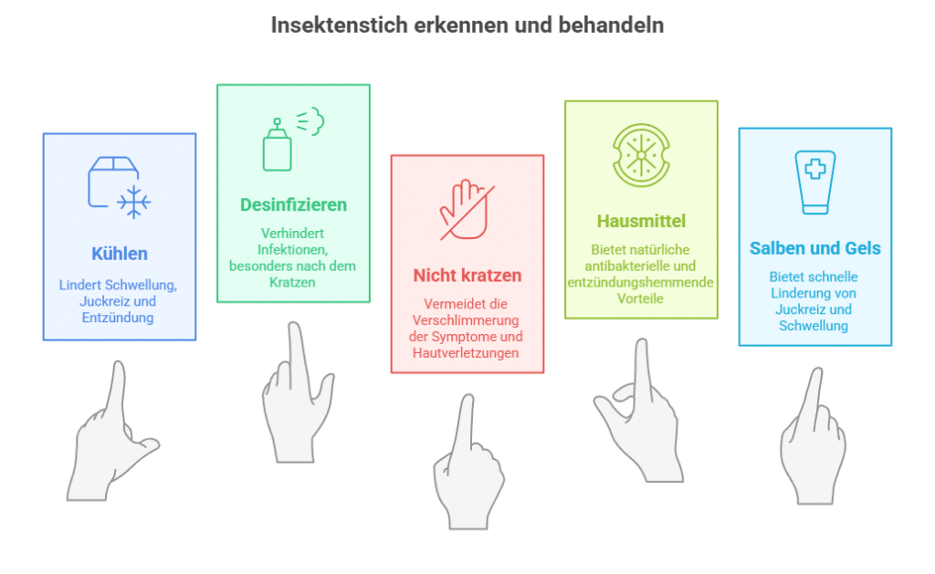 Insektenstiche erkennen: So schützt du dich richtig und handelst im ...